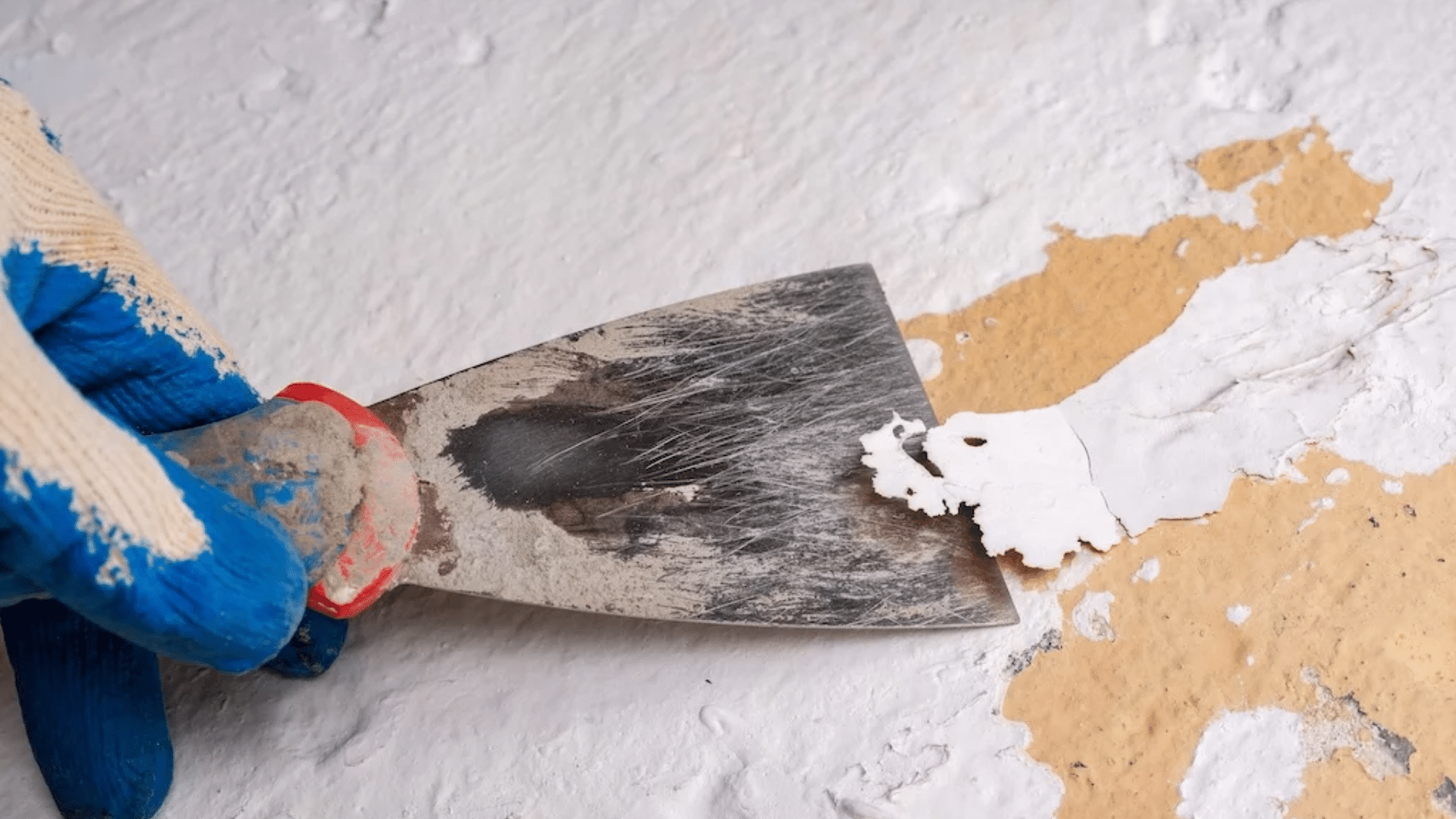 How to Remove Chipped Paint from the Walls? - The Martinnest